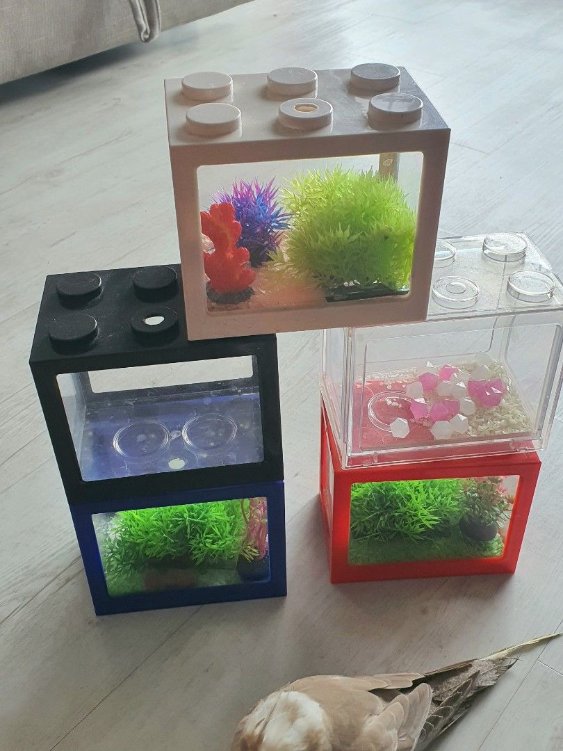 Lego Fish Tank, Pet Supplies, Homes & Other Pet Accessories on Carousell