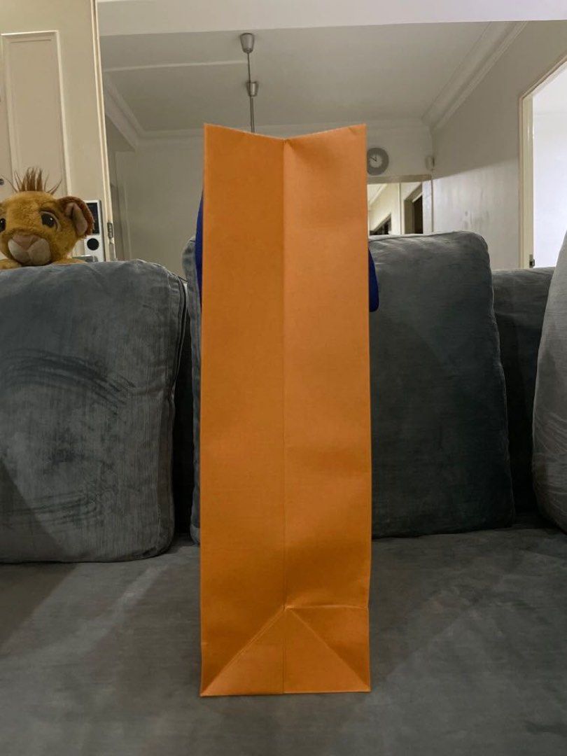 LV BN Long Paper Bag, Everything Else on Carousell