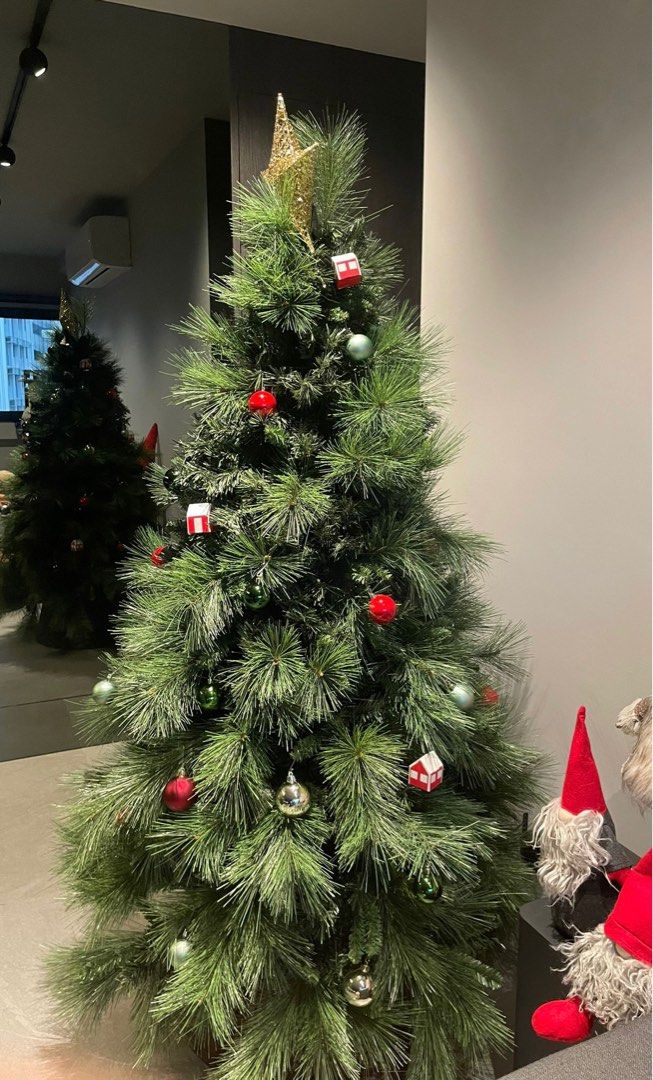 6ft Masons Christmas Tree Abaco (Ultra Wide and Dense) Hyper Realistic ...