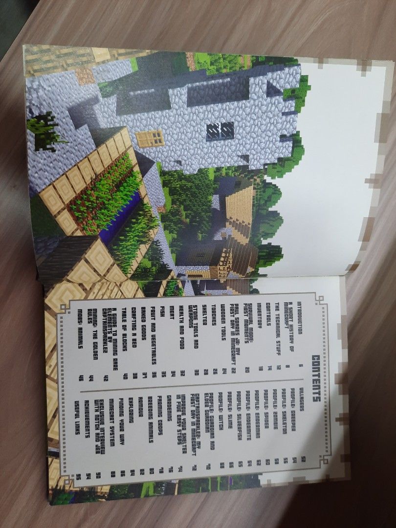 Minecraft book beginner's handbook updated edition, Video Gaming, Video ...