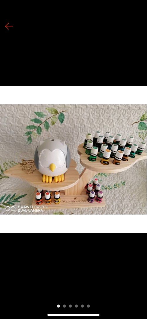 Owl Rack, Furniture & Home Living, Home Decor, Other Home Decor on ...