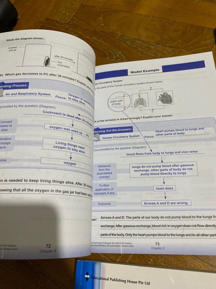 P5 & 6 science guide and assessment books, Hobbies & Toys, Books ...