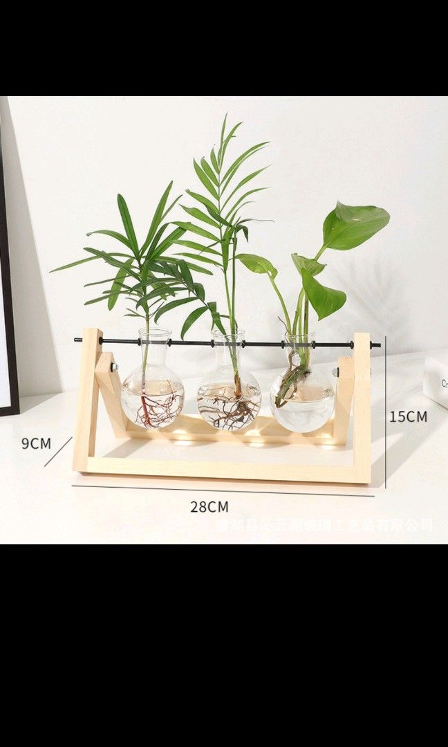 Plant Propagation Flask, Furniture & Home Living, Gardening, Pots ...