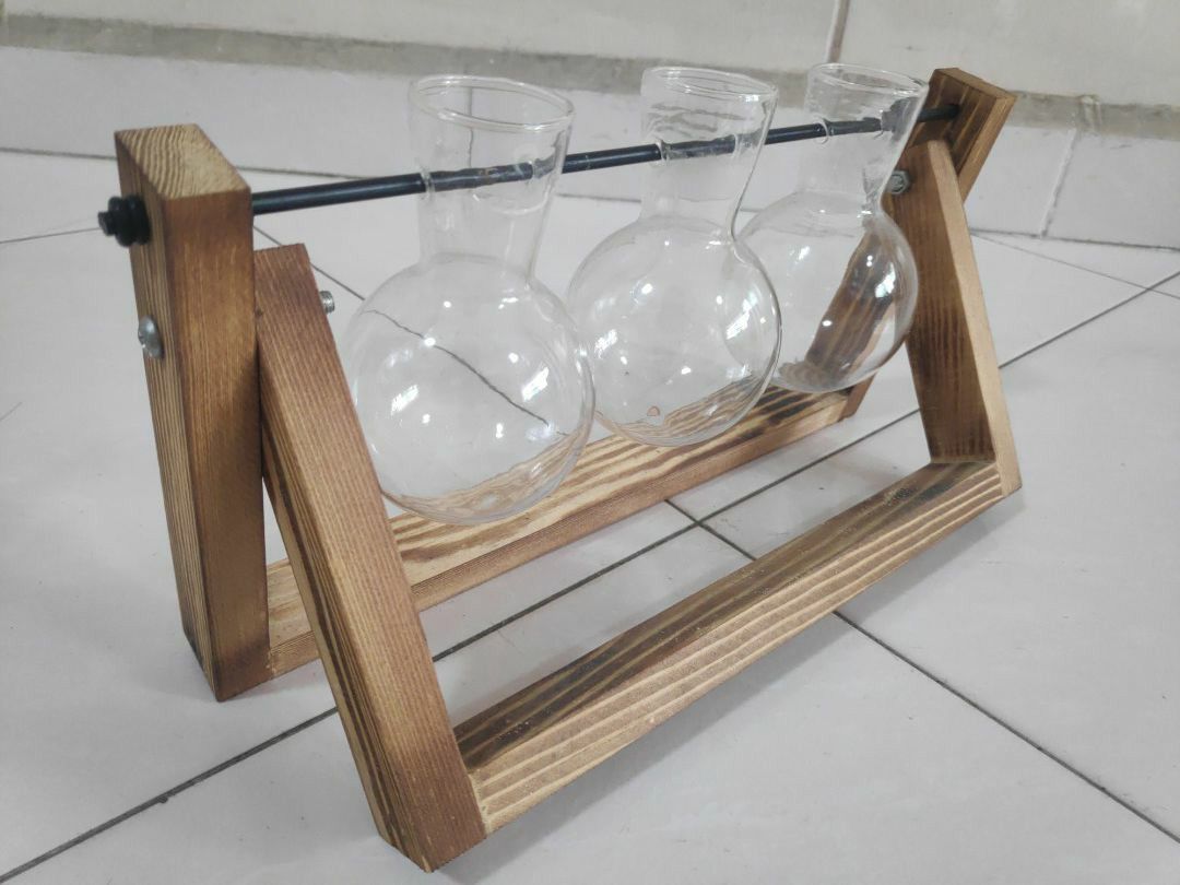 Plant Propagation Flask, Furniture & Home Living, Gardening, Pots ...