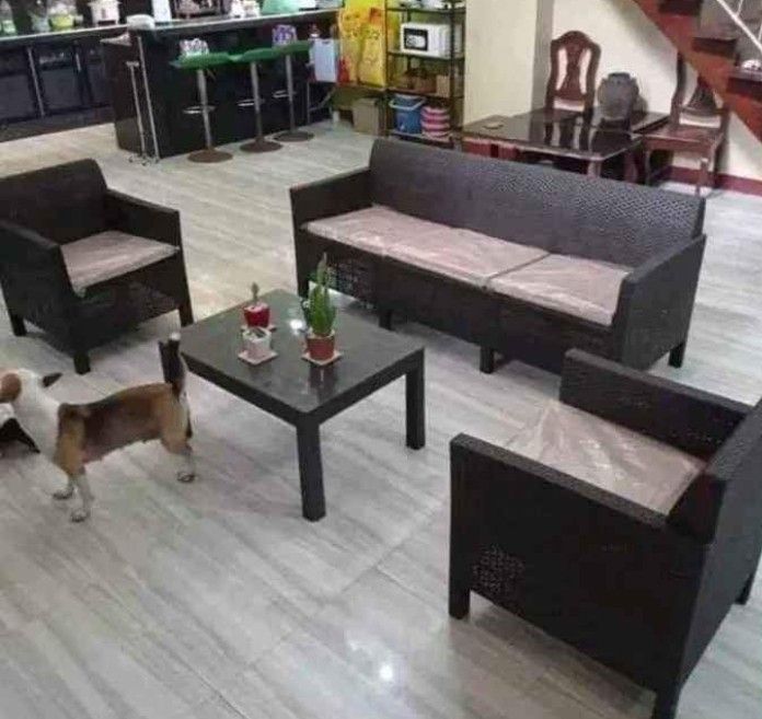 SALA SET, Furniture & Home Living, Furniture, Sofas on Carousell
