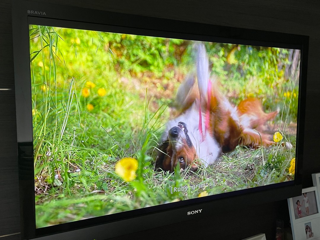 Sony BRAVIA TV Model KDL-40EX600, TV & Home Appliances, TV ...