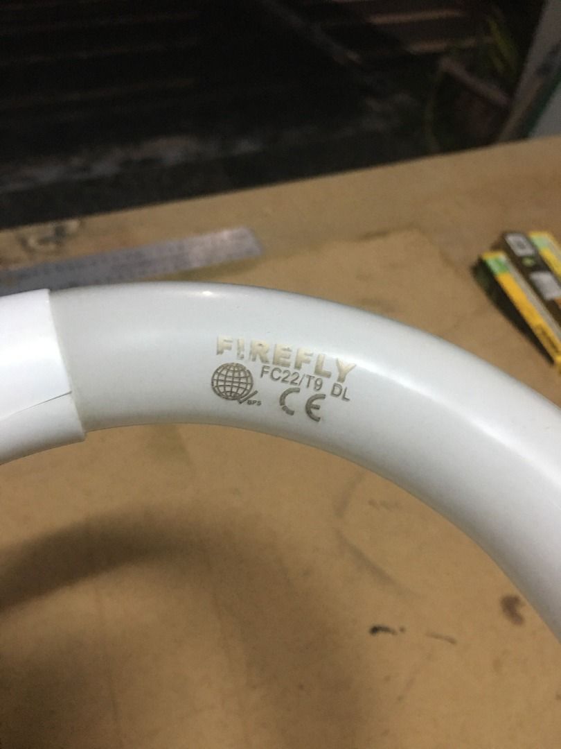 Firefly 8-inch Circular Fluorescent Lamp 22W, Furniture & Home Living ...