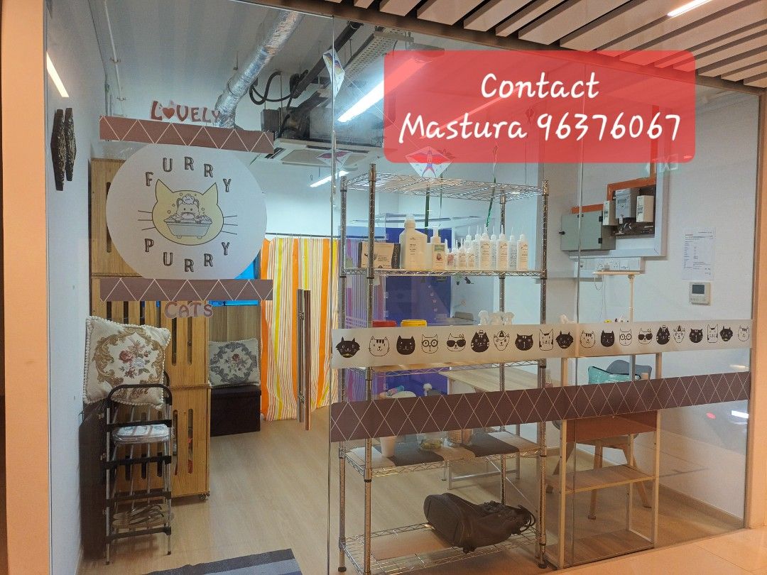 Furry Purry Cat Boarding, Pet Supplies, Health & Grooming on Carousell