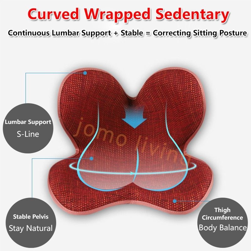 Japan No. 1 Posture Correction Chair Cushion Lumbar Waist Back Support ...