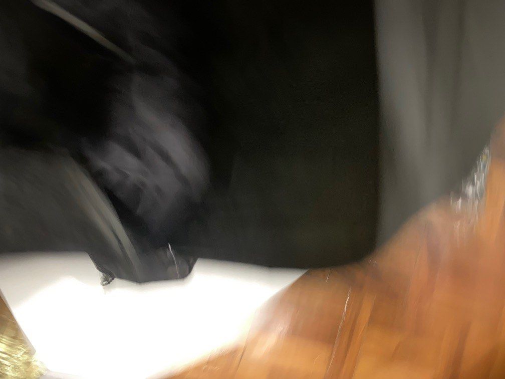 Johnnie Walker black backpack big spacious computer laptop travel work ...