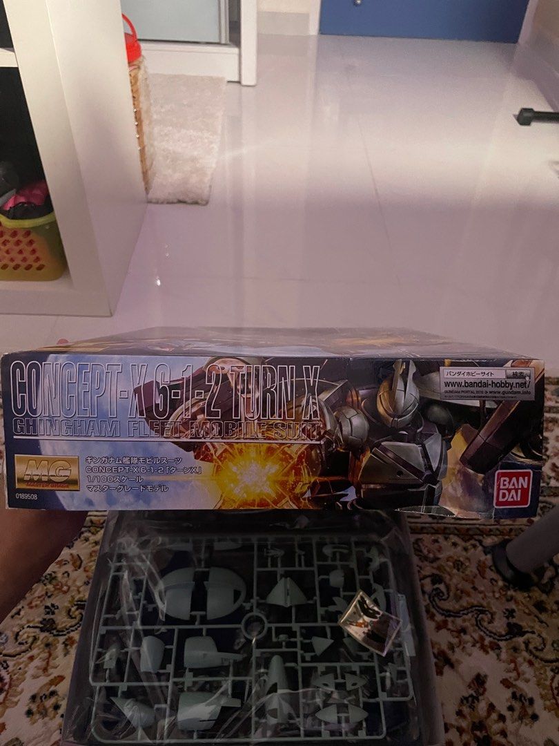 MG Grade: Concept-X 6-1-2 Turn X Gundam (RARE), Hobbies & Toys, Toys ...
