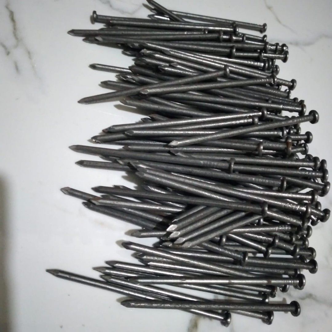 PAKU KAYU 10 CM, Looking For on Carousell