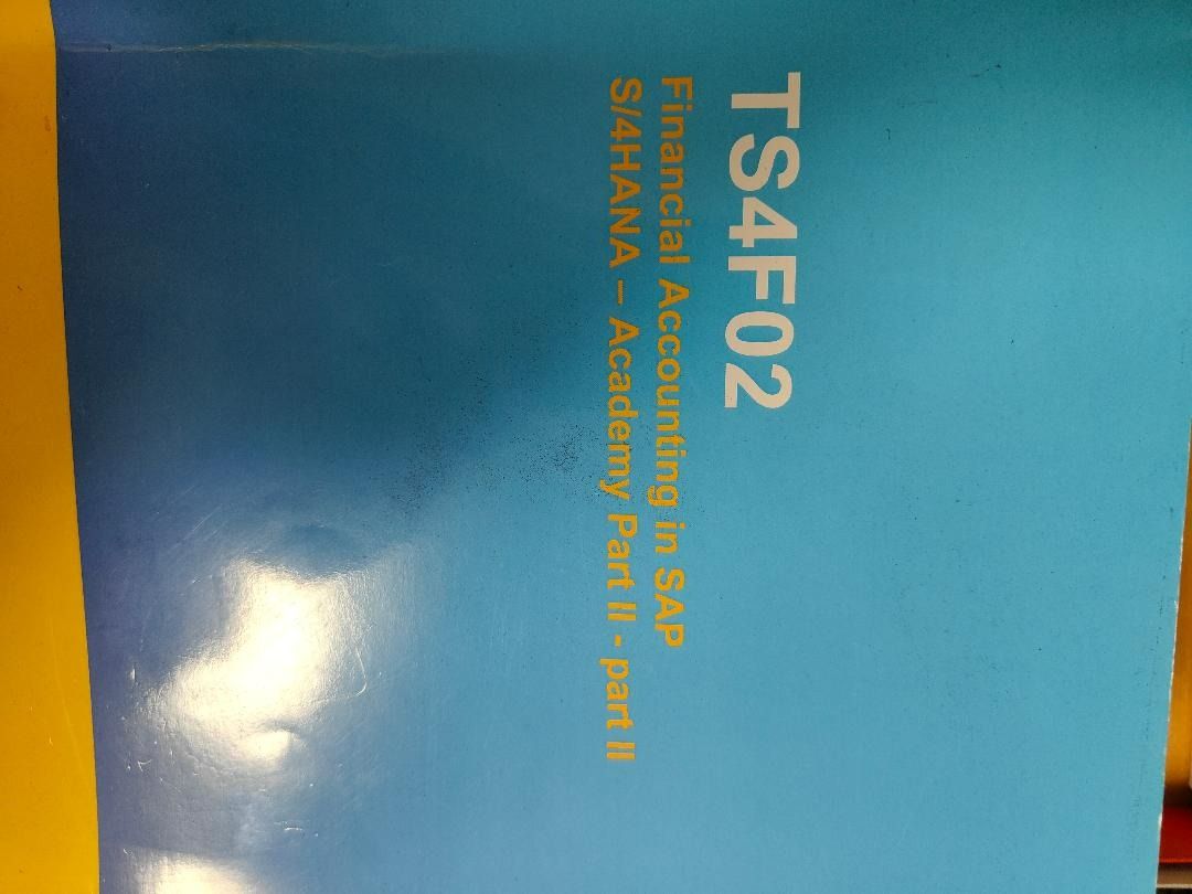 Sap Erp Financial Accounting Texts 4 Hobbies And Toys Books And Magazines Fiction And Non Fiction