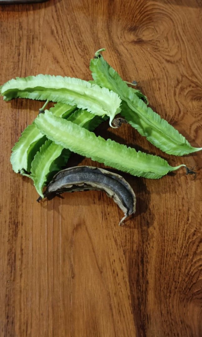 Winged bean/ 4 angled beans, Furniture & Home Living, Gardening, Plants ...