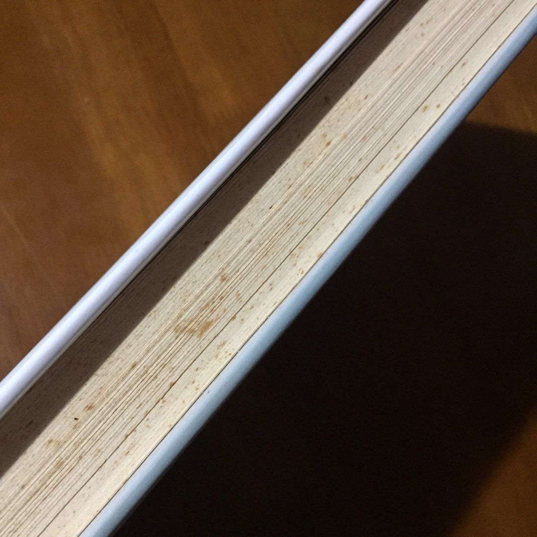 After by Amy Efaw (YA Realistic Fiction / Crime), Hobbies & Toys, Books ...