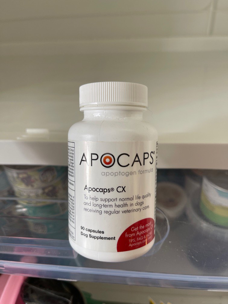 Apocaps 癌破錠 抗癌配方 (剩44粒, 寵物用品, 寵物食品 - Carousell