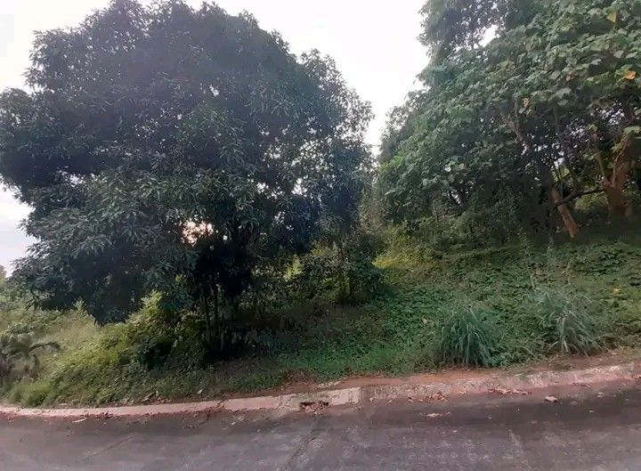 Banyan Crest Subd 280 sqm vacant lot in Brgy Gitnang Bayan II San Mateo ...