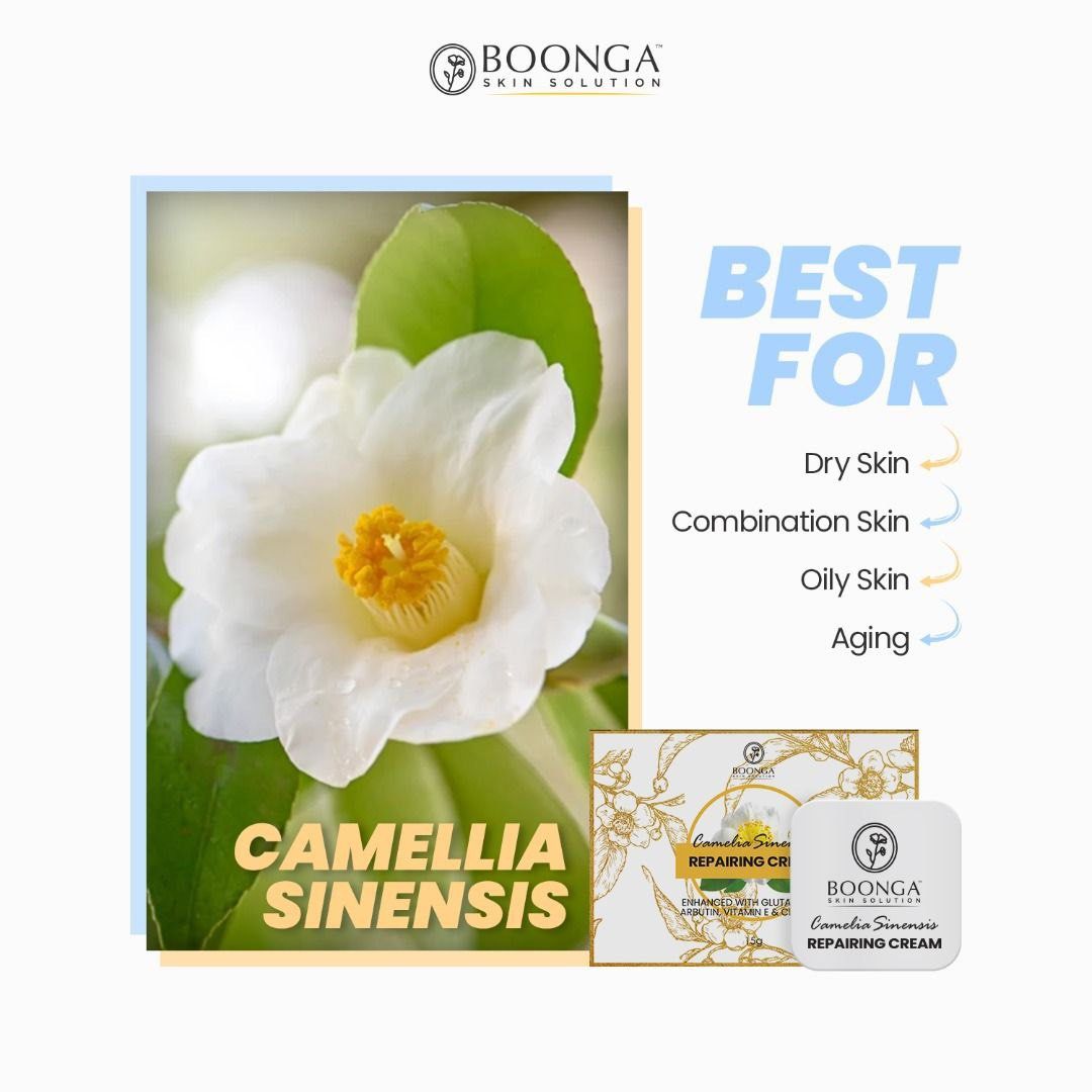 Boonga repairing cream, Beauty & Personal Care, Face, Face Care on ...