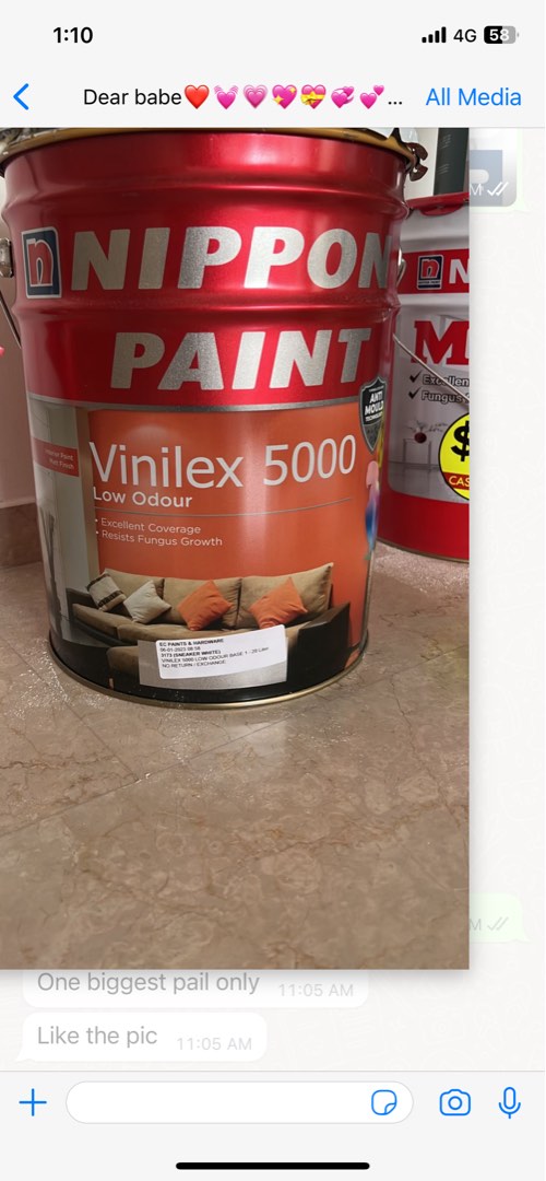 Brand New Vinilex 5000 Paint 20L, Furniture & Home Living, Home Decor ...