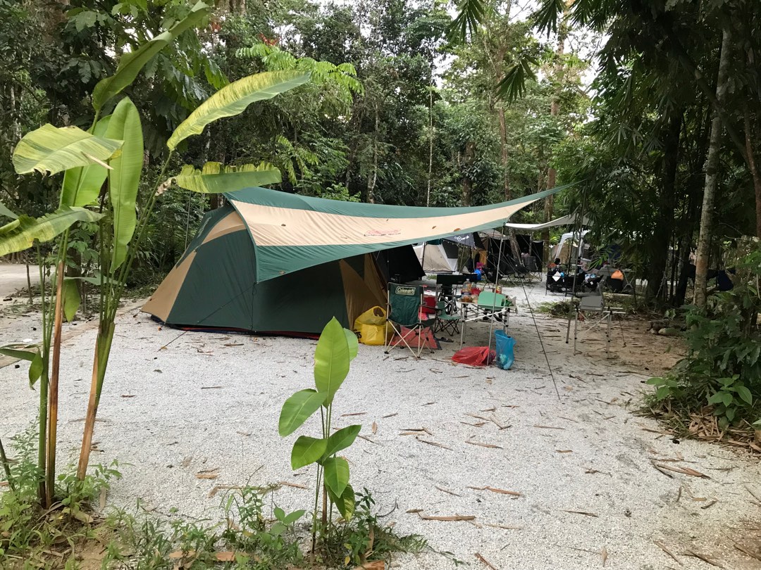 Coleman Flysheet Tarp, Sports Equipment, Hiking & Camping on Carousell