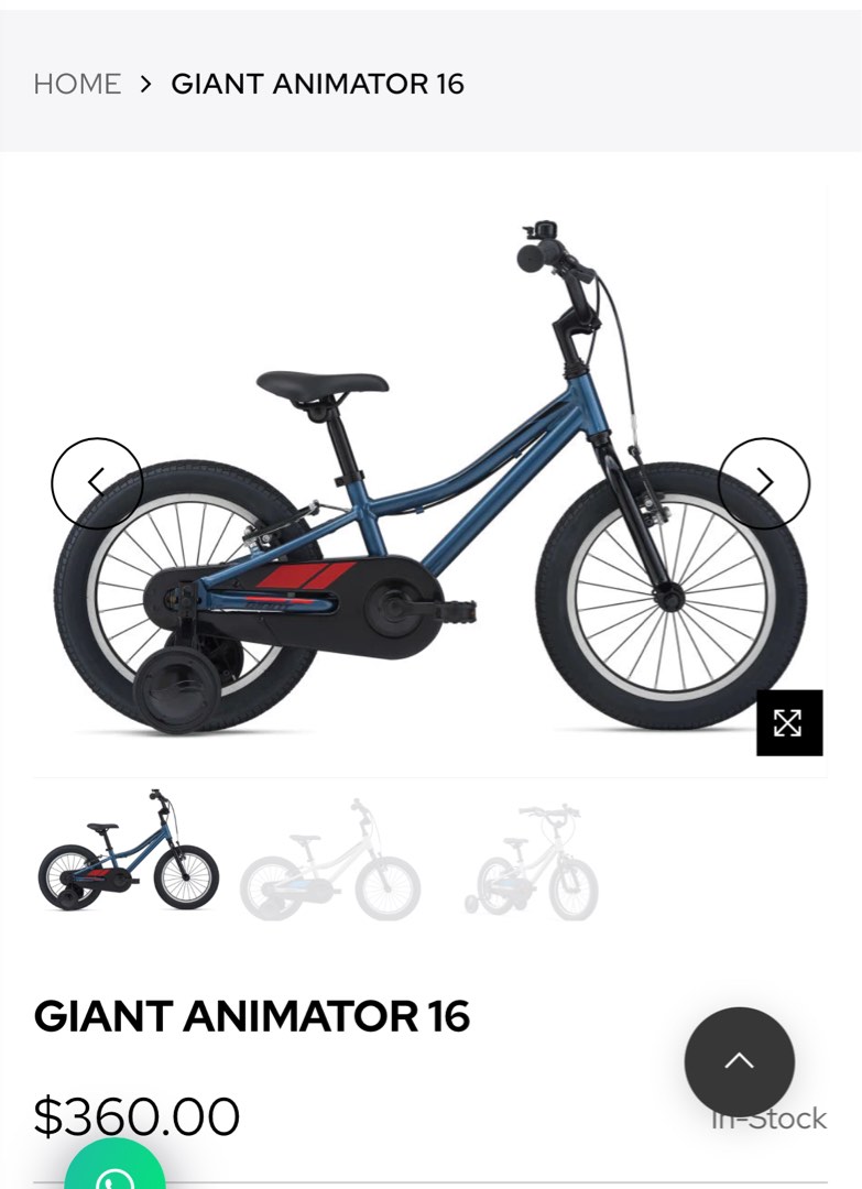 Giant Animator 16 Bicycle, Sports Equipment, Bicycles & Parts, Bicycles ...