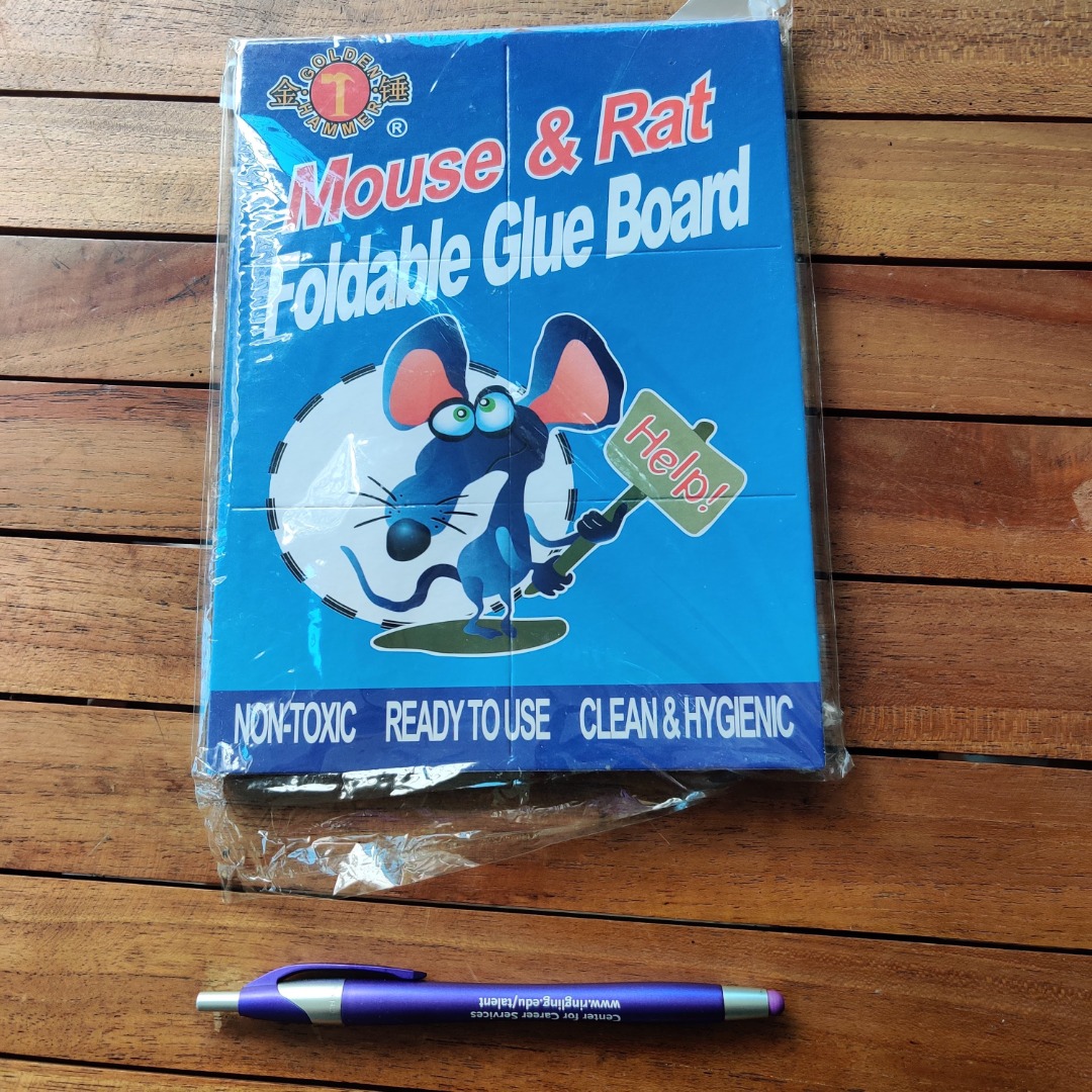 Golden Hammer Rat Glue Board (non toxic), Furniture & Home Living ...