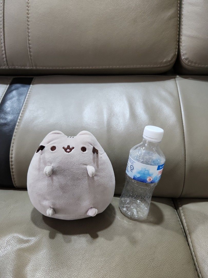 Pusheen, Hobbies & Toys, Toys & Games on Carousell