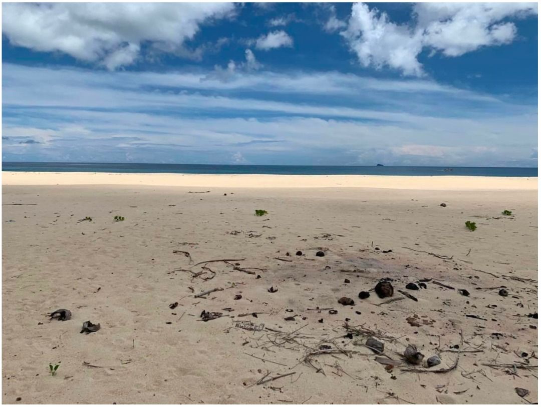 For Sale: Alimanguan San Vicente Palawan Beachfront Property, Property ...