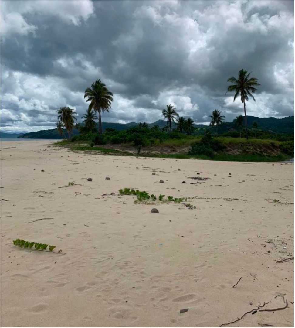 For Sale: Alimanguan San Vicente Palawan Beachfront Property, Property ...