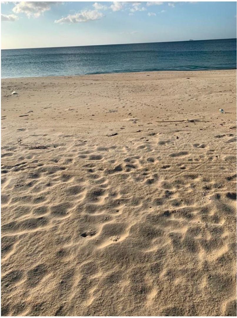 For Sale: Alimanguan San Vicente Palawan Beachfront Property, Property ...