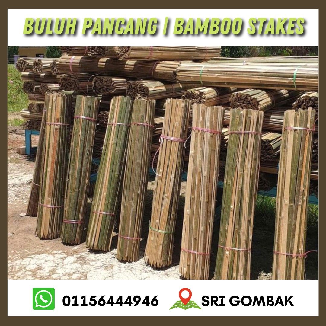 Buluh Pancang / Bamboo Stakes / Bamboo, Everything Else, Others on ...