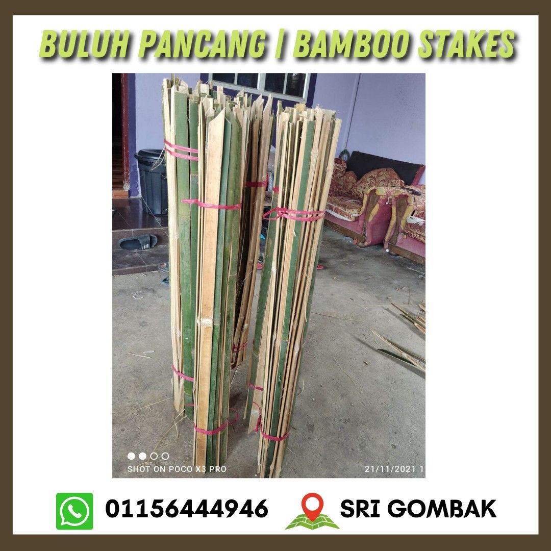 Buluh Pancang / Bamboo Stakes / Bamboo, Everything Else, Others on ...