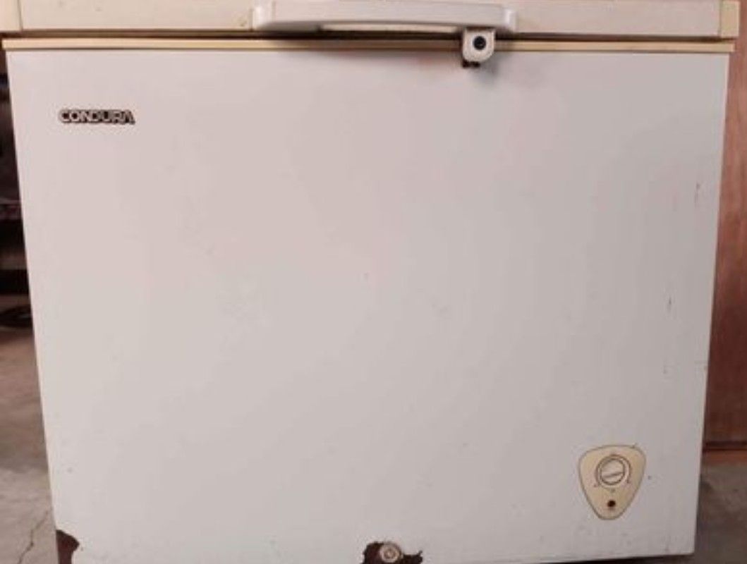 CONDURA CCF-200L, TV & Home Appliances, Other Home Appliances on Carousell