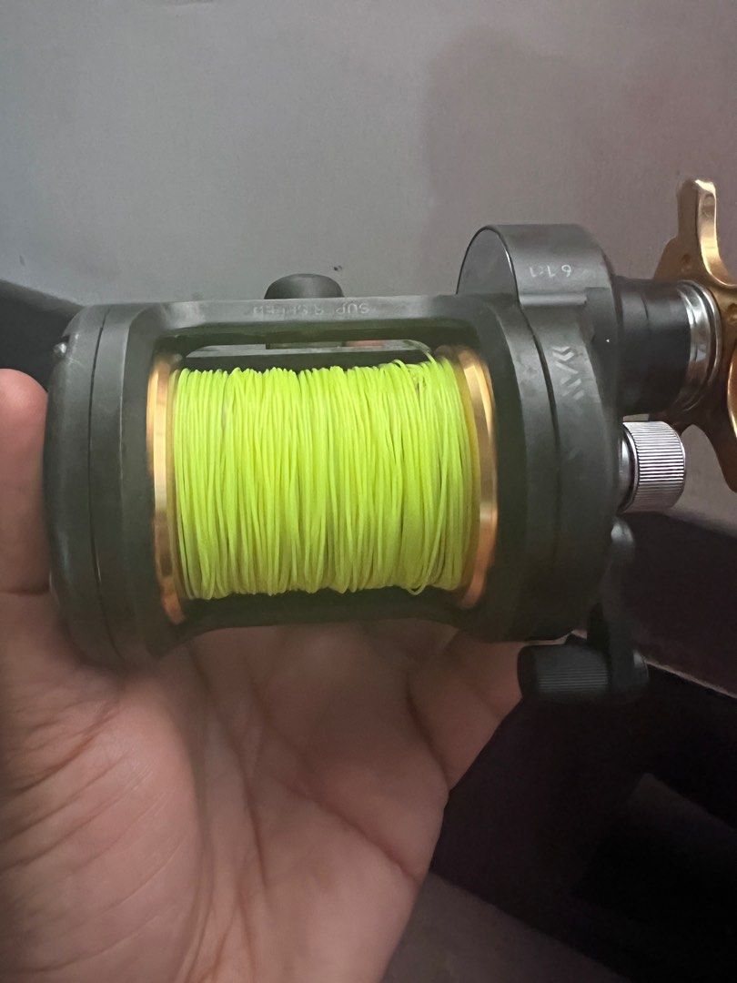 Daiwa BG 30, Sports Equipment, Fishing on Carousell