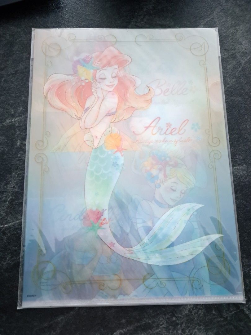 Disney princess files (set of 4) made in Japan, 興趣及遊戲, 手作＆自家設計, 文具 ...
