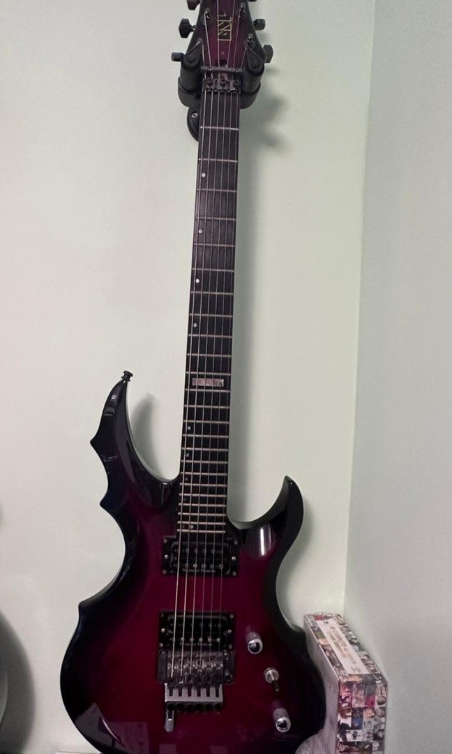 ESP forest GT Order Made Model, gilson, Fender, Seymour Duncan, EMG, 興趣 ...