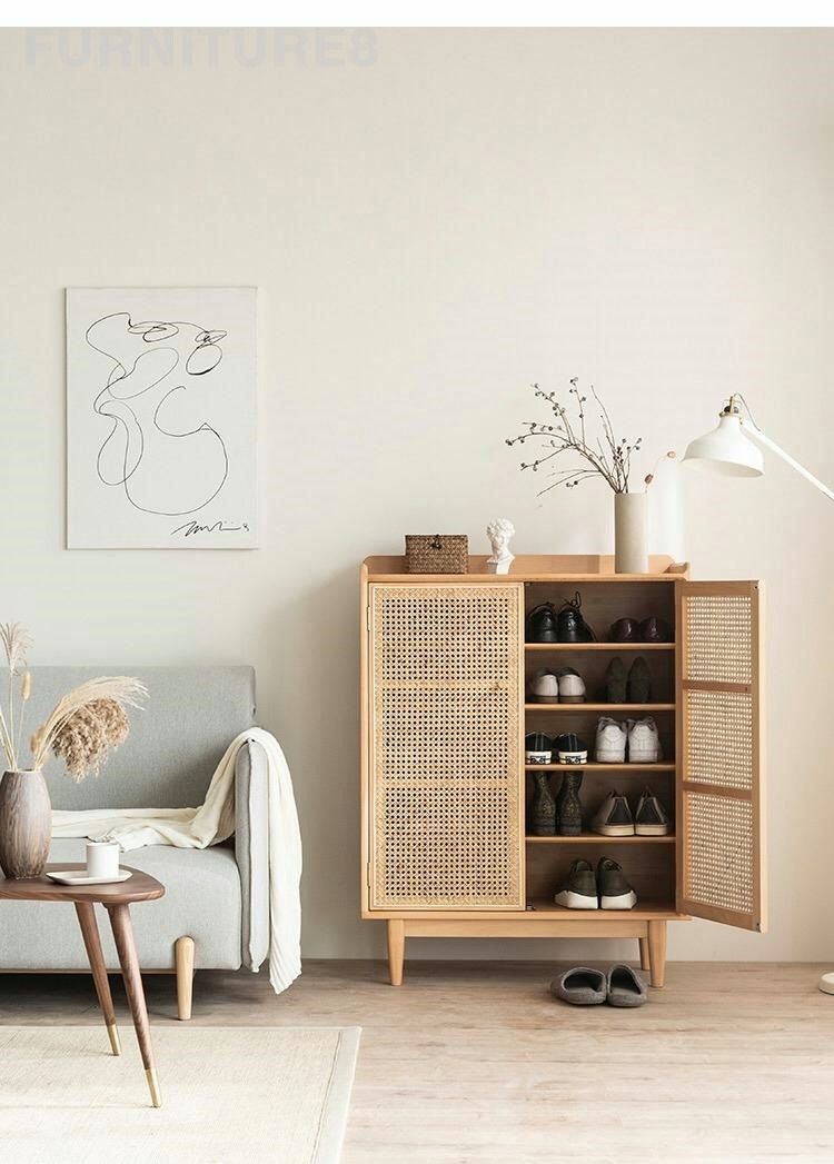 F8-0484 Modern and Contemporary Mesh Shoe Storage Cabinet, Furniture ...