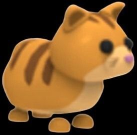 Ginger Cat ADOPT ME (Roblox Game), Video Gaming, Gaming Accessories, In ...