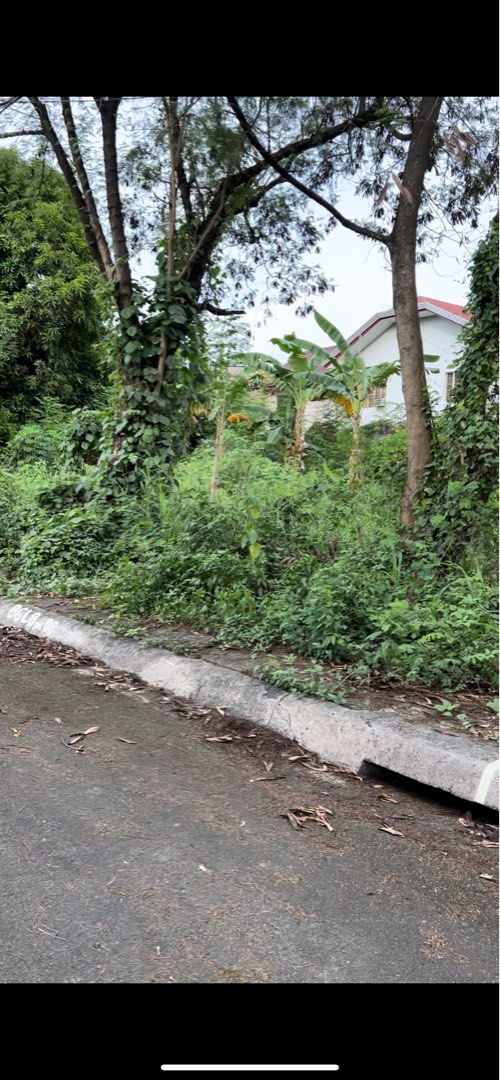 Lot In A Gated Cainta Subdivision, Property, For Sale, Lot on Carousell
