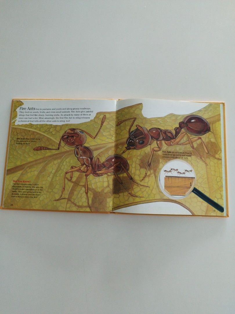Preloved golden book bees wasps ants, Hobbies & Toys, Books & Magazines ...