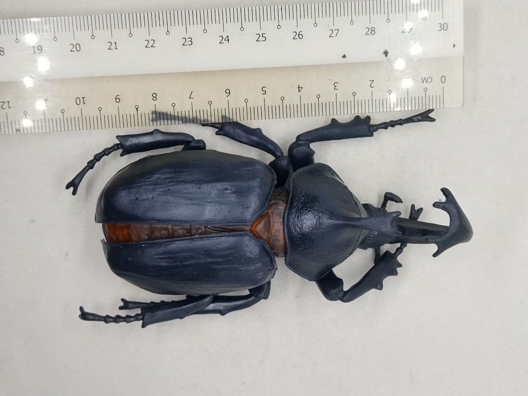 T-arts - Insect Forest Beetle Festival - Rhinoceros Beetle - Kabuto ...