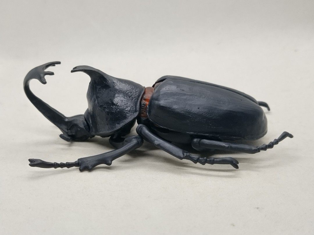 T-arts - Insect Forest Beetle Festival - Rhinoceros Beetle - Kabuto ...