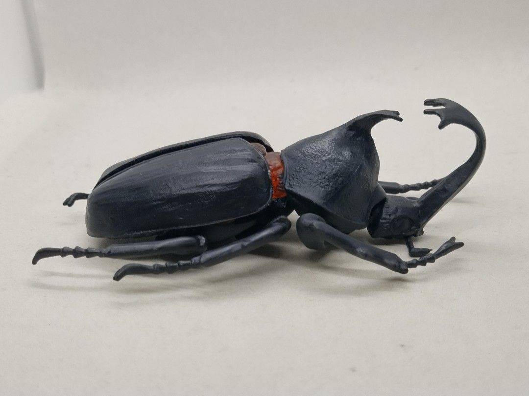 T-arts - Insect Forest Beetle Festival - Rhinoceros Beetle - Kabuto ...