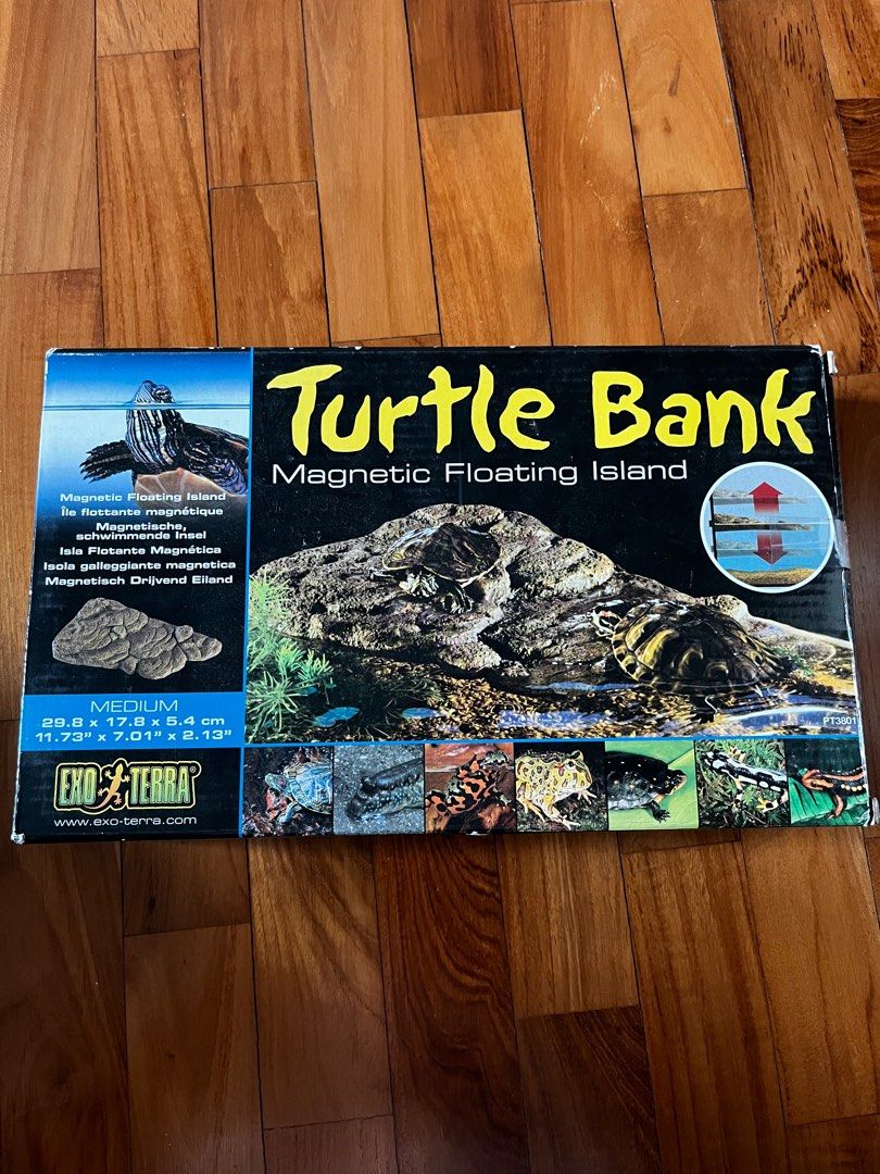 Turtle Bank, Pet Supplies, Homes & Other Pet Accessories on Carousell