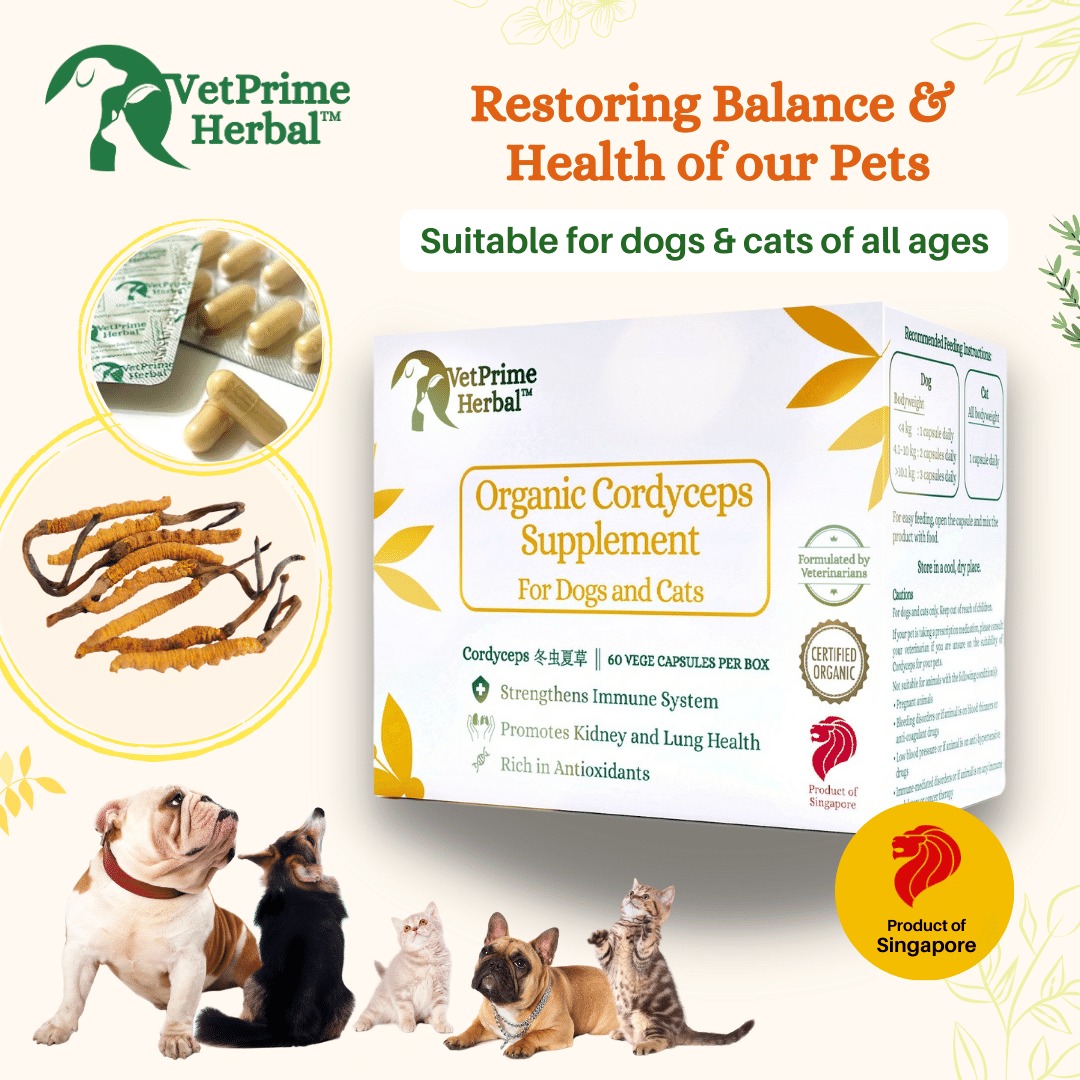 VetPrime Herbal Organic Cordyceps (For dogs & cats of all ages ...