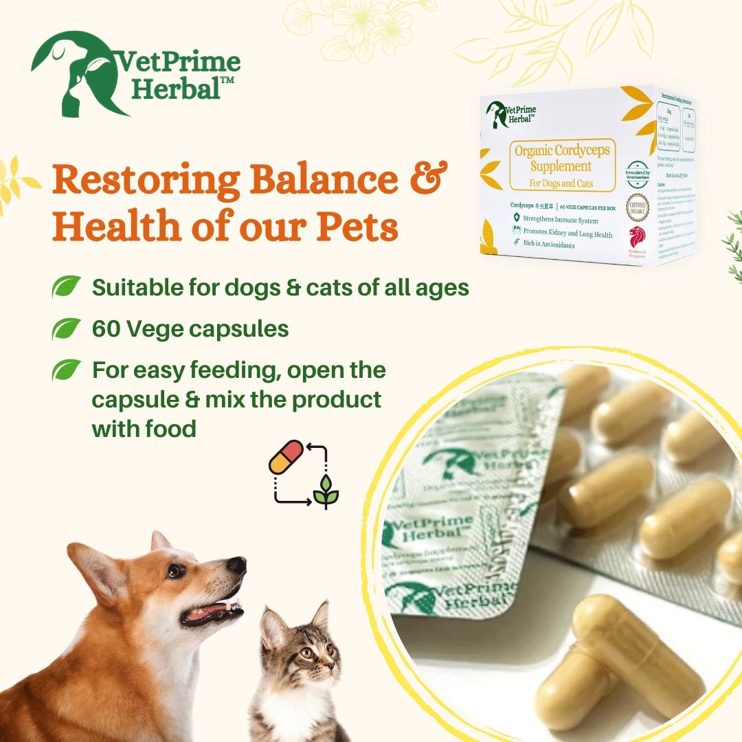 VetPrime Herbal Organic Cordyceps (For dogs & cats of all ages ...
