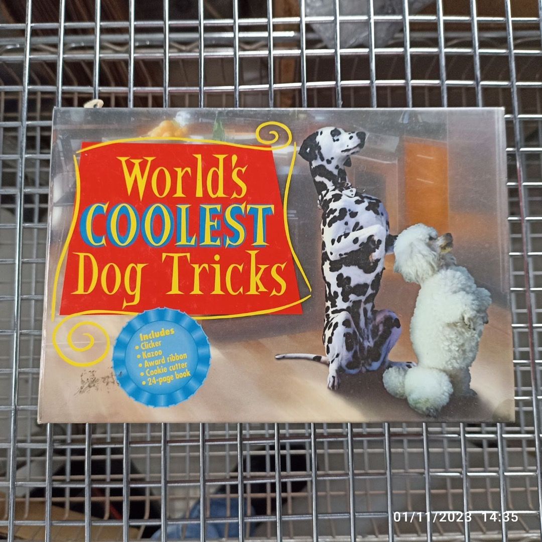 World's Coolest Dog Tricks (Dog Tricks Training Book with Equipment ...
