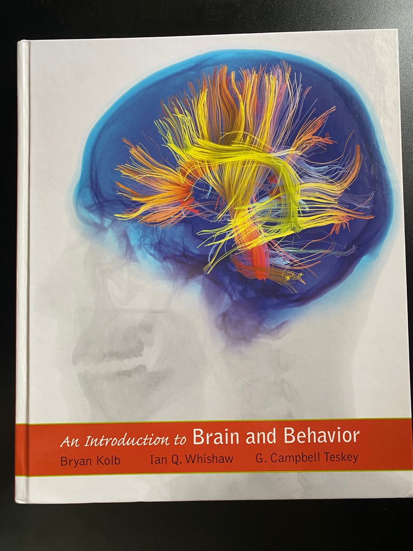 An Introduction to Brain and Behavior (Murdoch PSY), Hobbies & Toys, Books & Magazines ...
