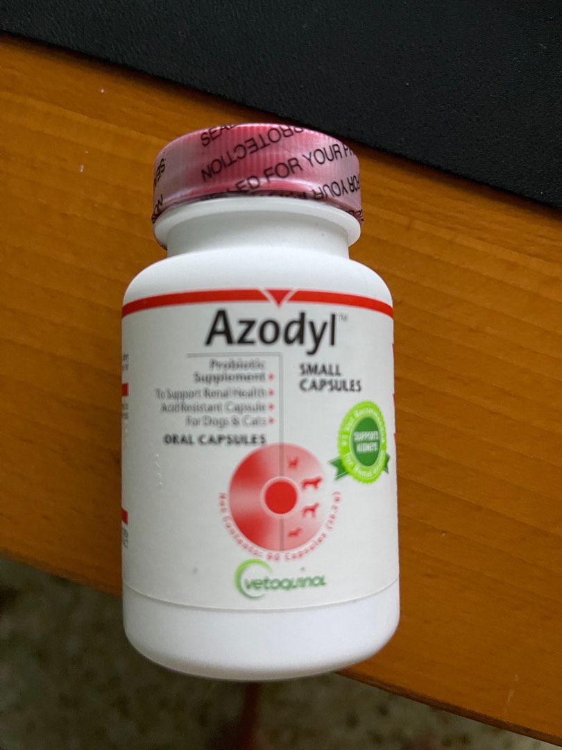 BNIB azodyl kidney renal support, Health & Nutrition, Health ...