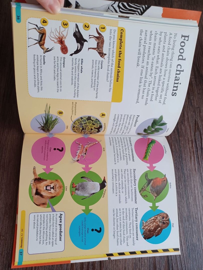 DK! Find Out - Science / Animals.., Hobbies & Toys, Books & Magazines ...